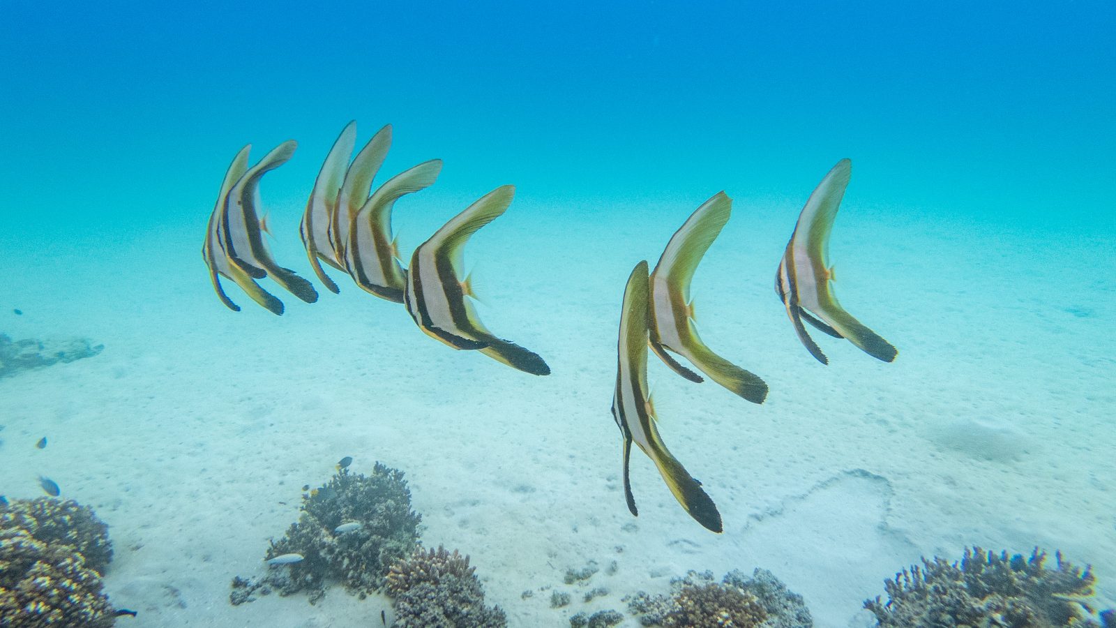 Winter Holidays 2019: Blue Lagoon - Some Austrians in New Zealand