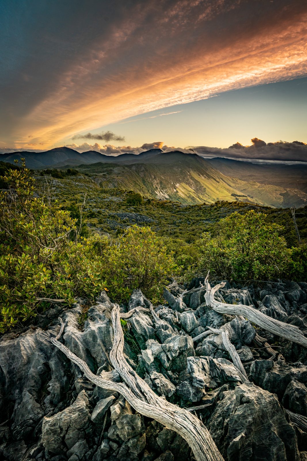 Takaka Hill in the evening - Some Austrians in New Zealand